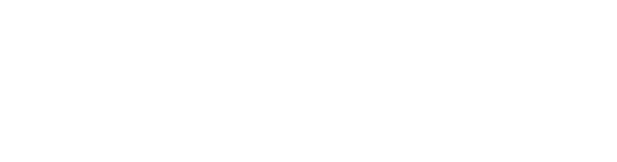 CHASS | Shaping the Future of IT Infrastructure and Security